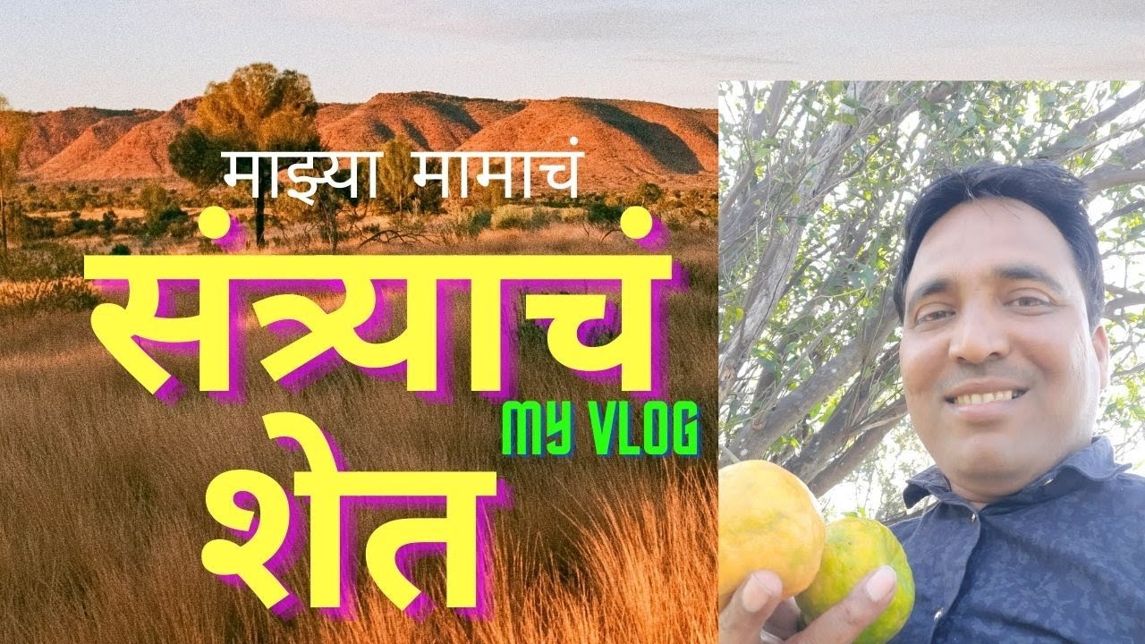 माझ्या मामाचं संत्र्याचं शेत/My Vlog/Deepak Wankhede - YouTube