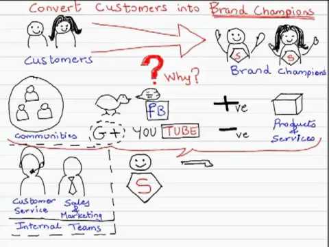 Why Build Brand Advocates, Champions ?