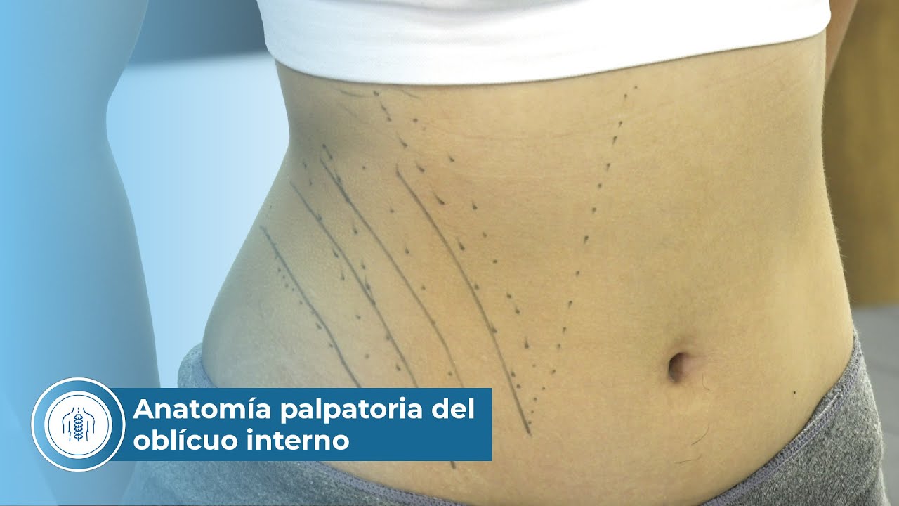 Anatomía palpatoria del oblícuo interno - YouTube