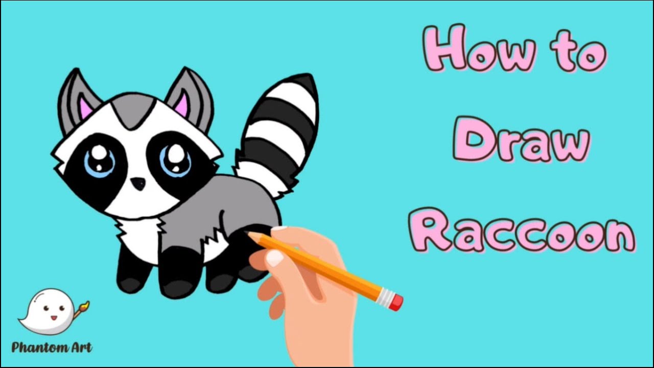How to Draw Raccoon - YouTube