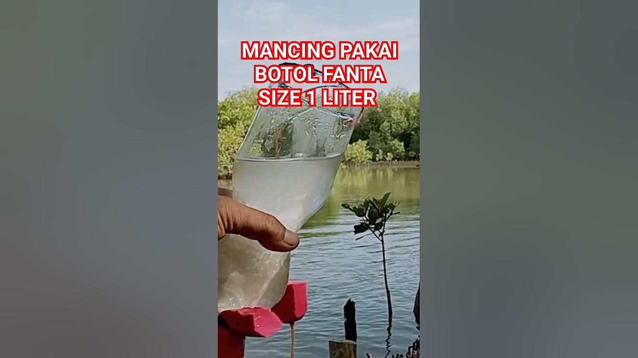 mancing ikan belanak pakai botol fanta size 1 liter - YouTube