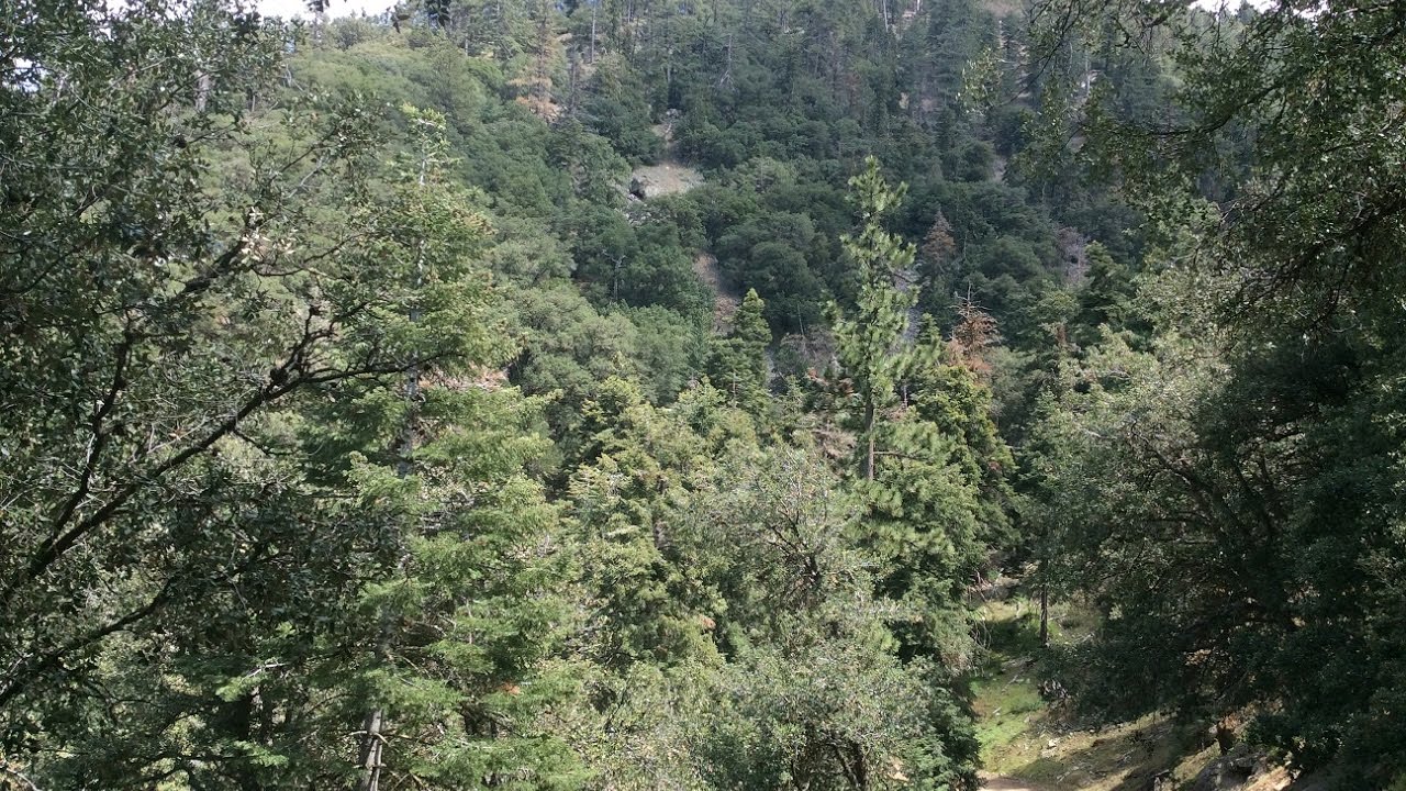 Tehachapi Mountain Hike - YouTube