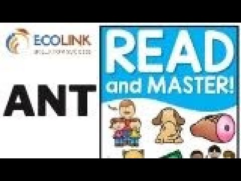 ANT - YouTube