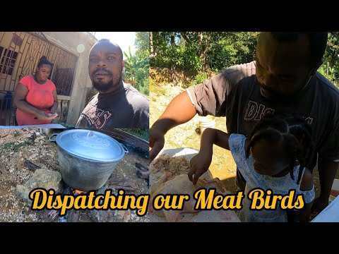 How we Slaughter & Prep Chickens for our Family