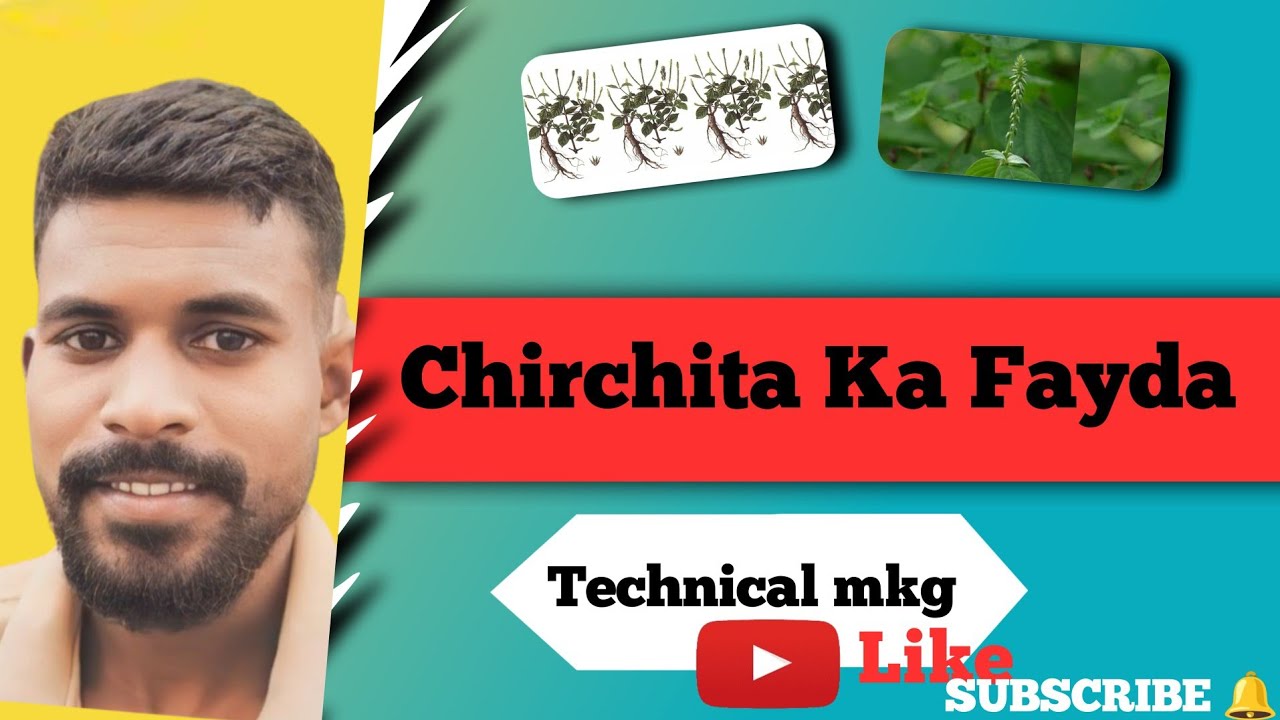 Chirchita: The Super Herb That Could Change Your Health Forever - YouTube