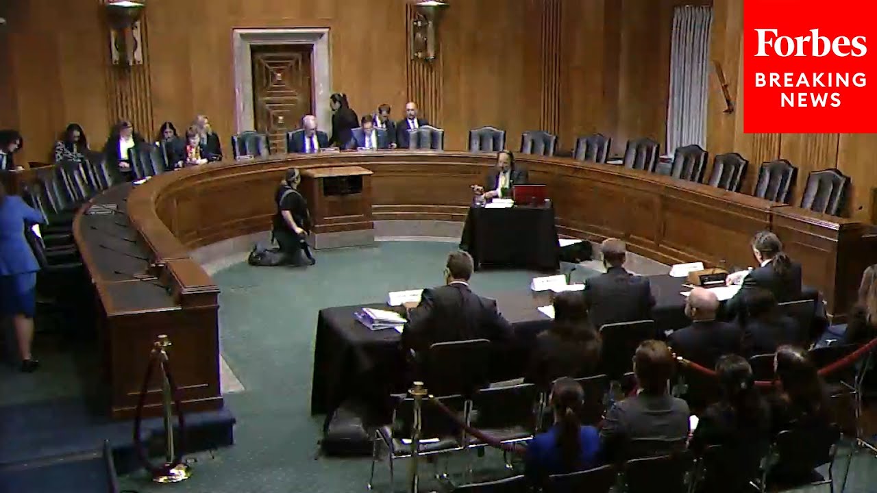 The Senate Foreign Relations Committee Holds A Hearing On Countering ...