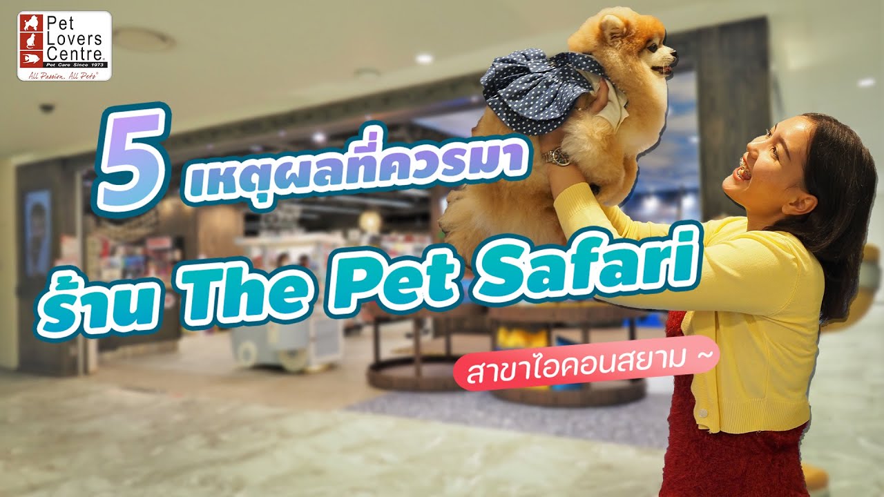5 เหตุผลที่ควรมาร้าน The Pet Safari สาขาไอคอนสยาม | Pet Lovers Centre ...