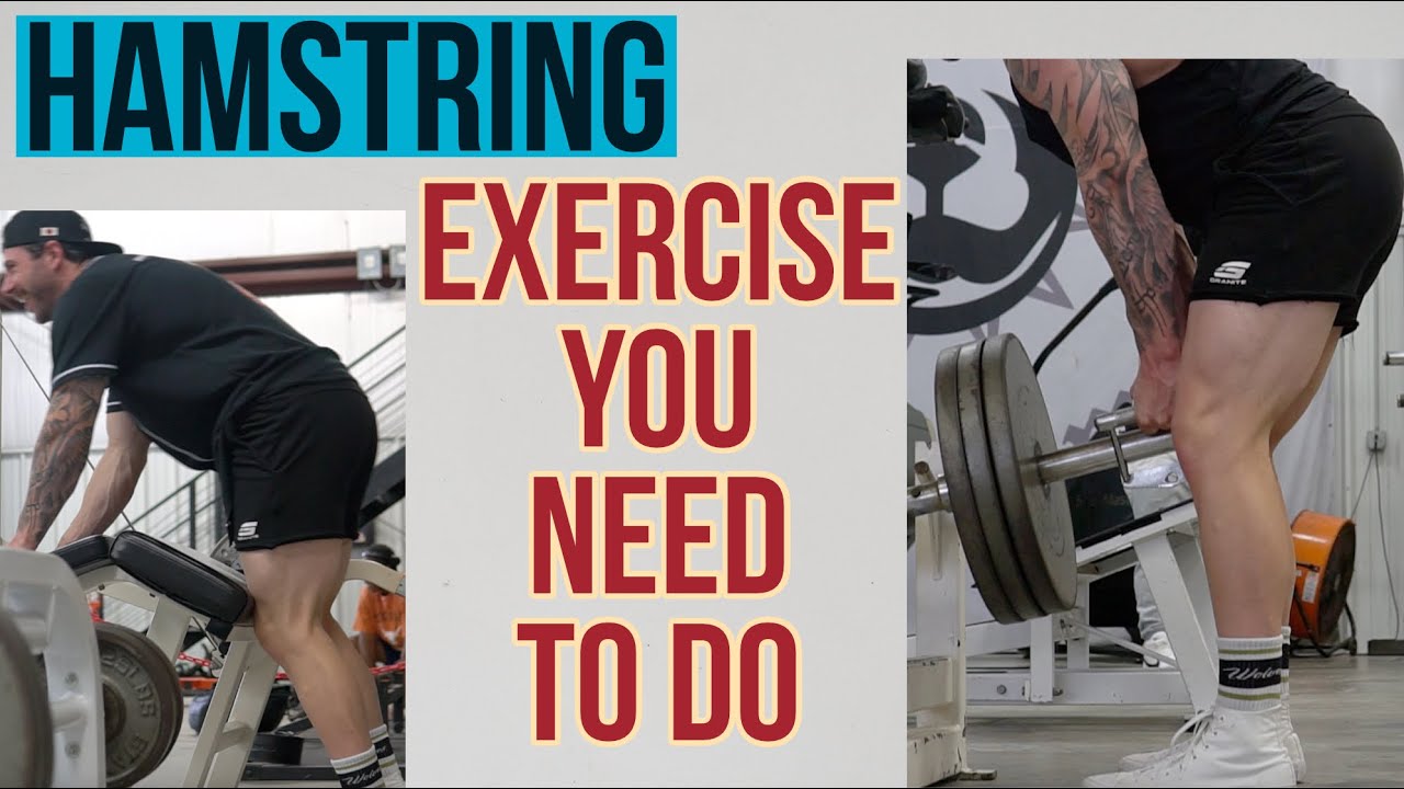 Glute & Hamstring Training | Do this exercise for BIGGER Hamstrings ...