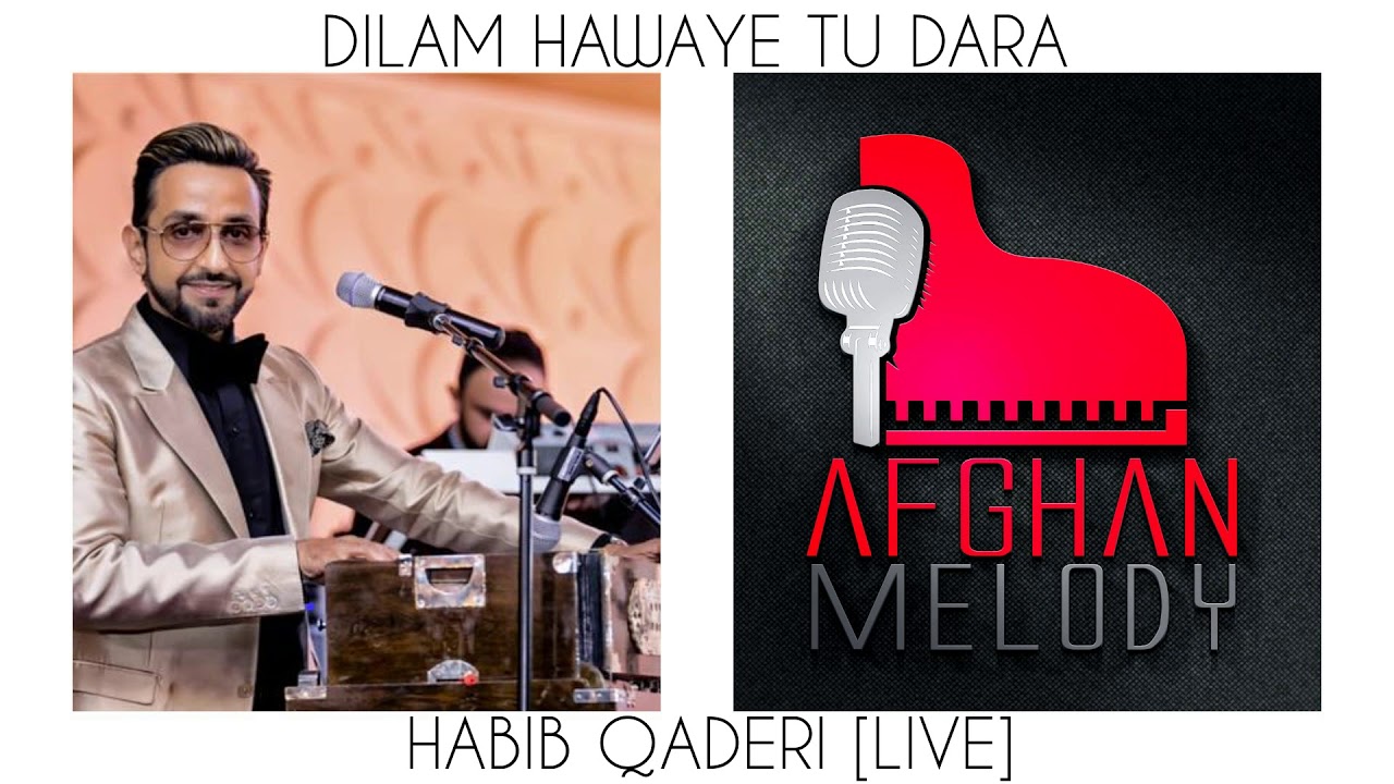 Habib Qaderi - Dilam Hawaye Tu Dara [LIVE] - YouTube