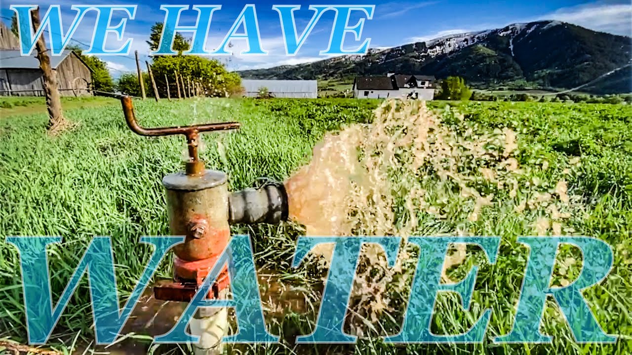 Setting Up Our First Irrigation Hand Line Sprinklers For Alfalfa Crop ...