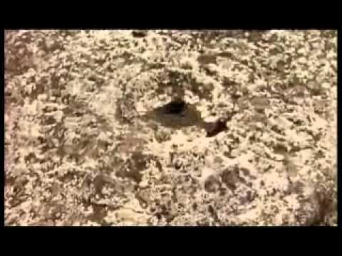 ՍԵՎ ՍԱՐ ՄԱՍ_1 SEV SAR PART_1 - YouTube