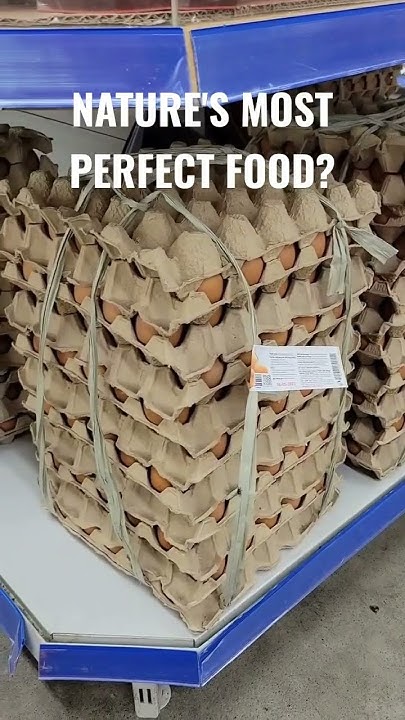 THE INCREDIBLE EDIBLE EGG - YouTube