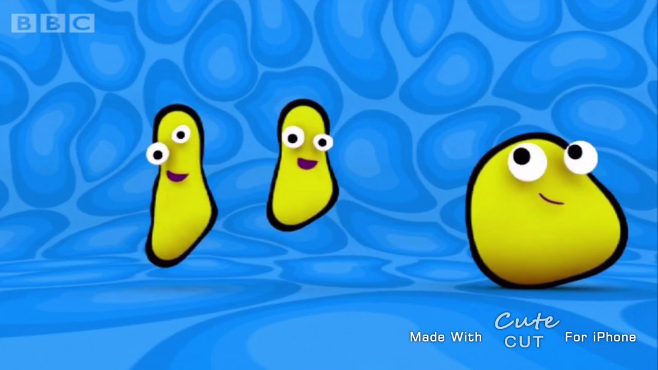 CBeebies - Conga Dance With no logo ident (2009-2017) - YouTube