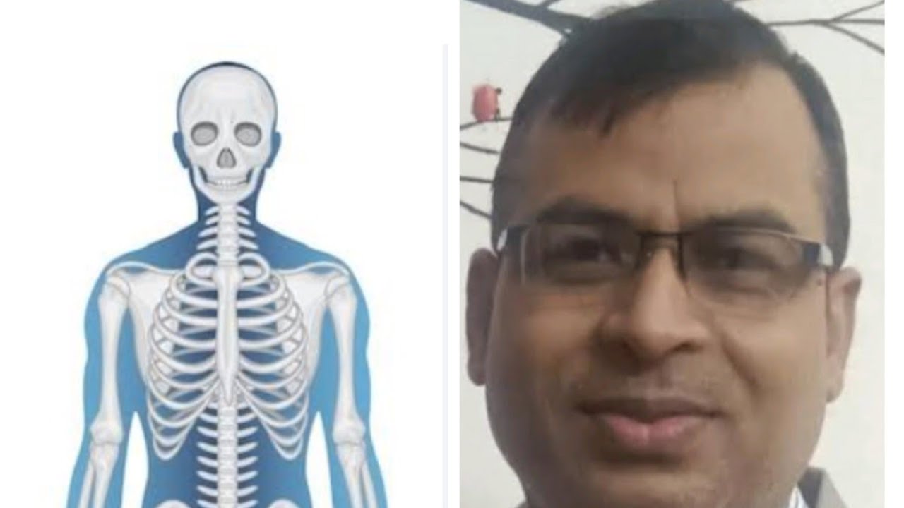 Introduction To Human Skeletal System YouTube introduction-to-human-skeletal-system-youtube