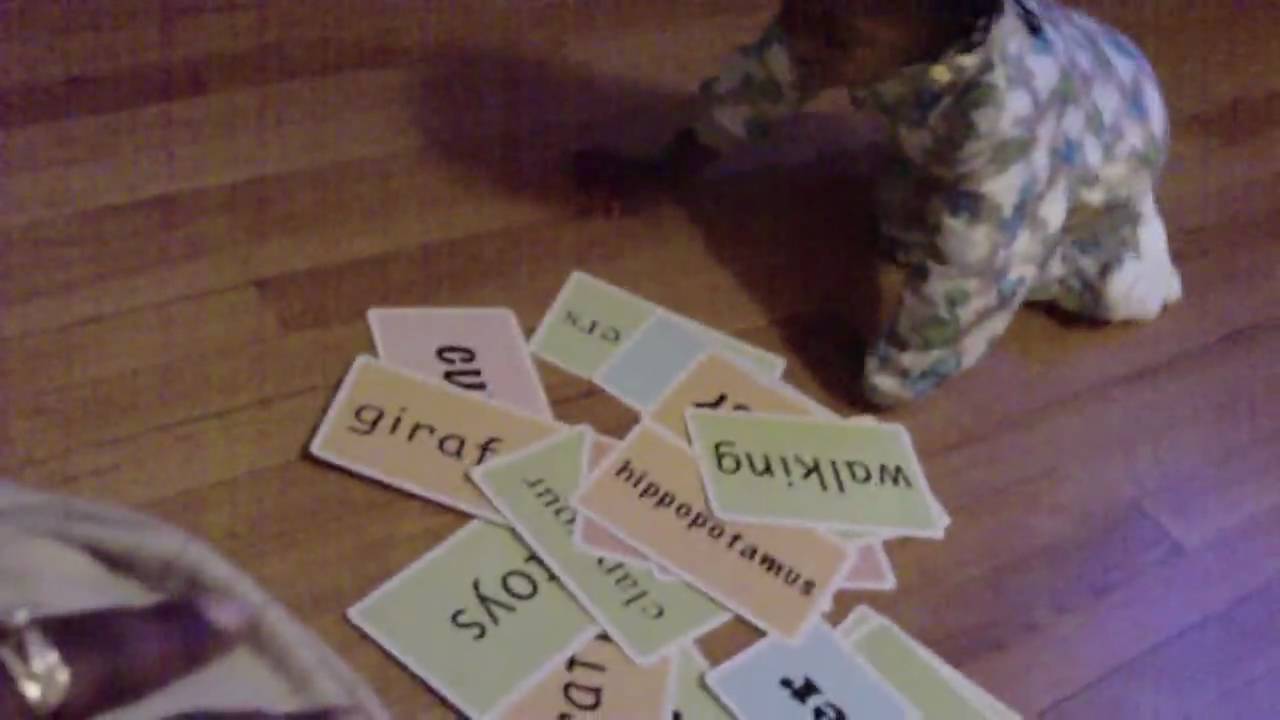 Cassidy Walker finding words - YouTube