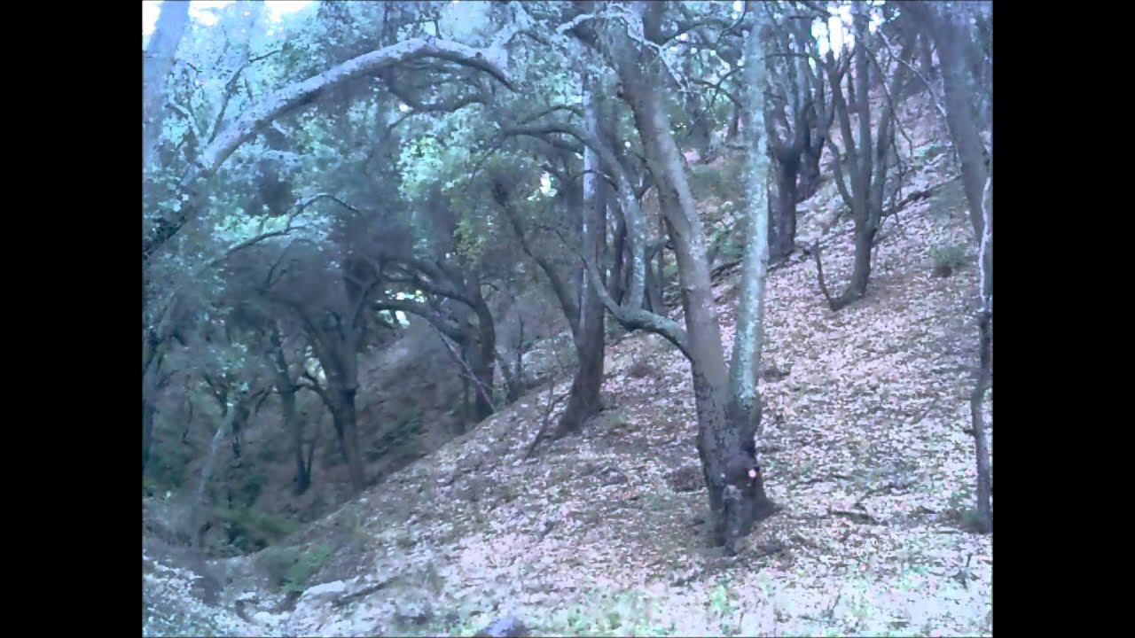 Furry AirSoft - YouTube