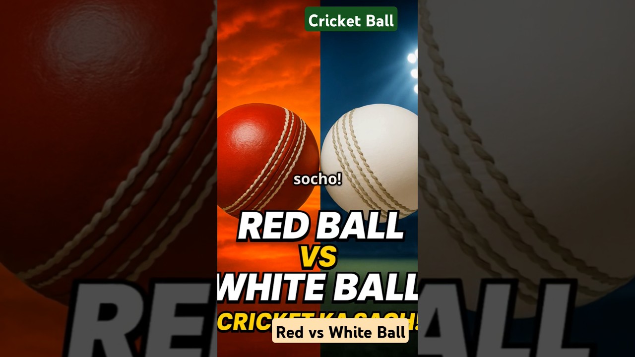 Red vs White Ball 🤔🏏 #cricket #ipl #facts #india #reels #sports #bcci # ...