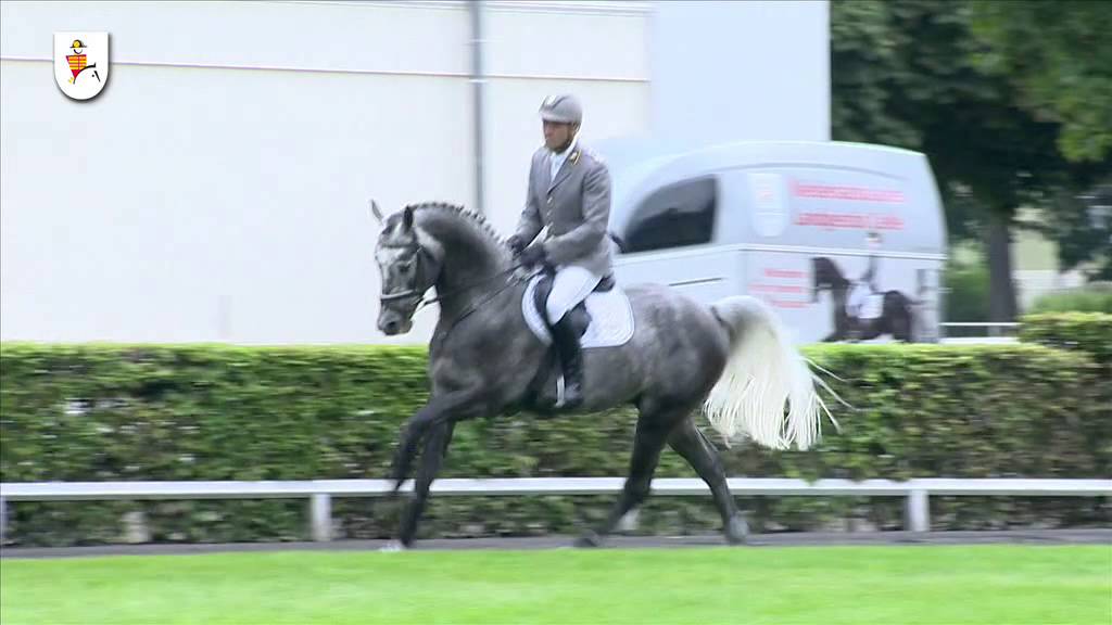 Clinton´s Heart 2015 - YouTube