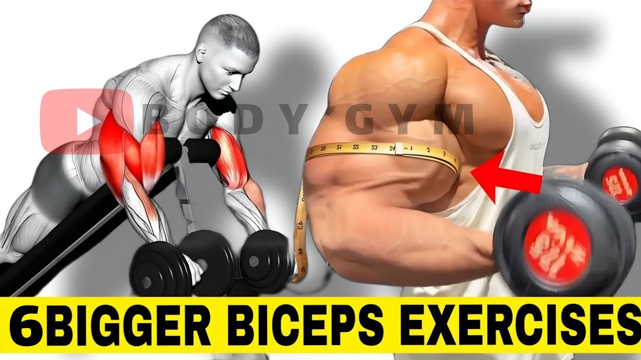 6 Bicep Exercises For Bigger Arms | Bigger Biceps Workout At Gym ...