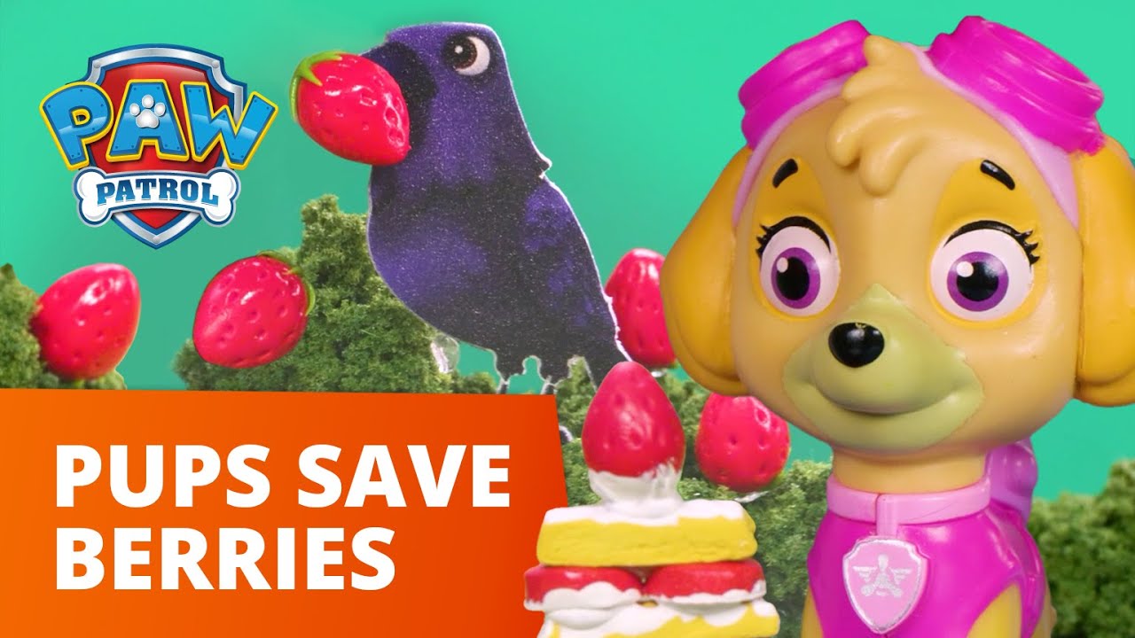 PAW Patrol Pups Save the Strawberries! Toy Pretend Play Rescue For Kids ...