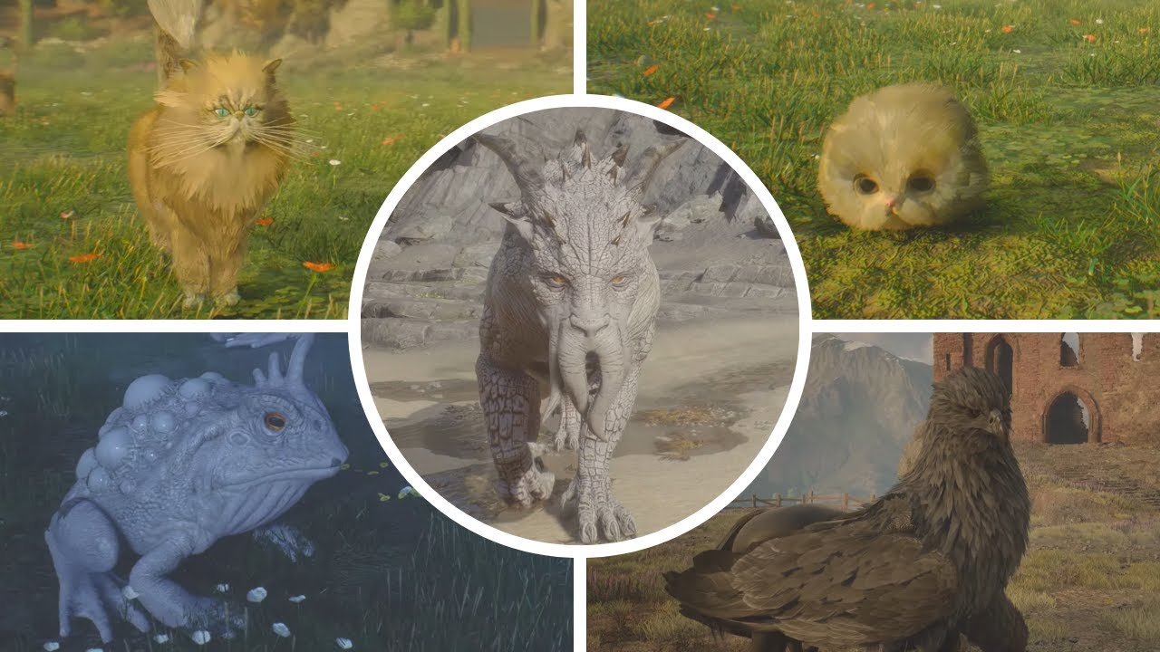 Hogwarts Legacy - All SHINY (Different Color) Beasts Showcase [4K 60FPS ...