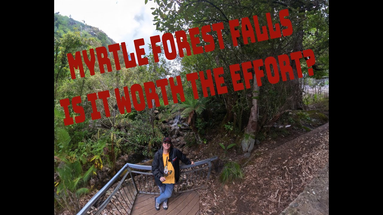 Myrtle Forest Falls Walk - Tasmania - YouTube