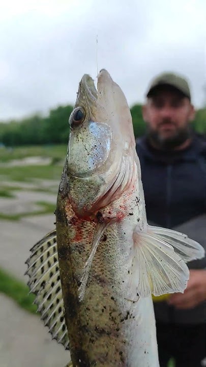 Конкурс Викторина Вопрос Загадка Знатокам 🐌 Супер Игра 📸 Прикольно и Весело 🥰😮 Круто Youtube