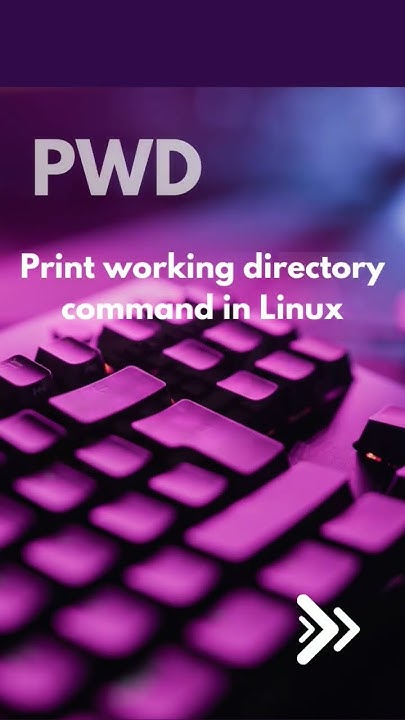 5 Linux Basic Commands Youtube