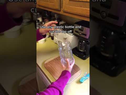 How To Repeal Flies When Cleaning Fish