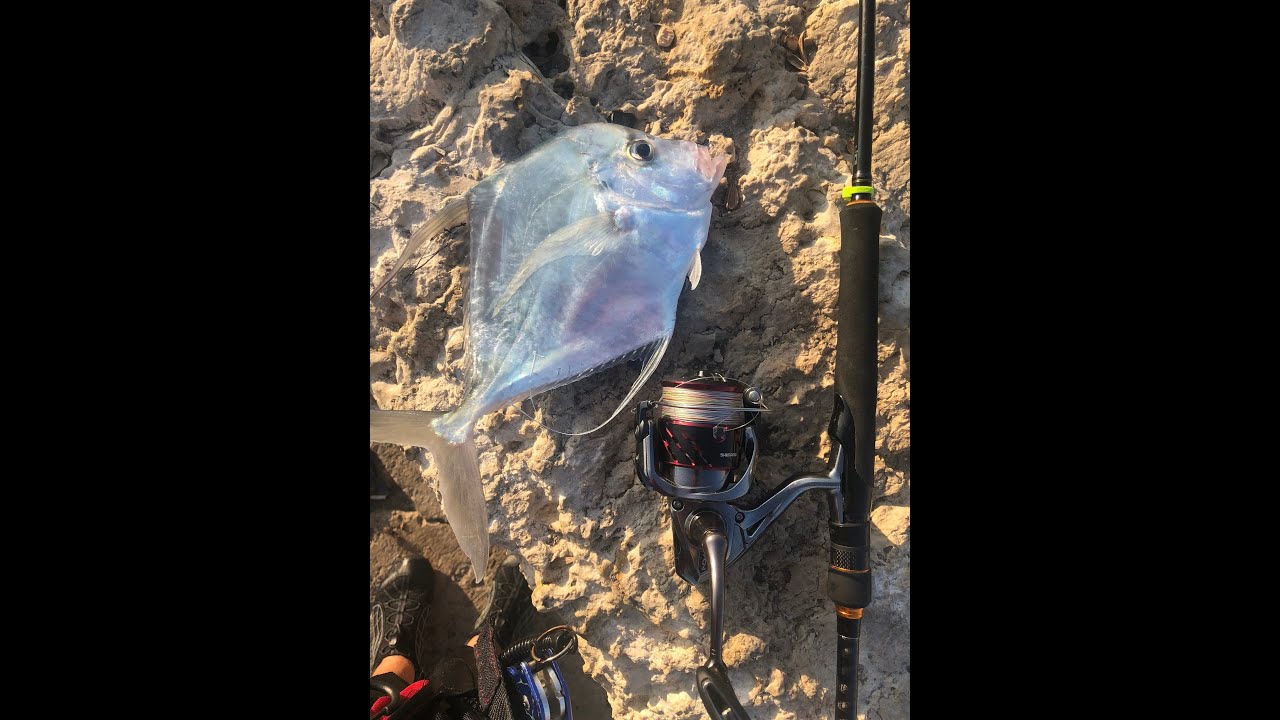 Fishing - African threadfish 5.9.2018 - דיג בן גוריון - YouTube