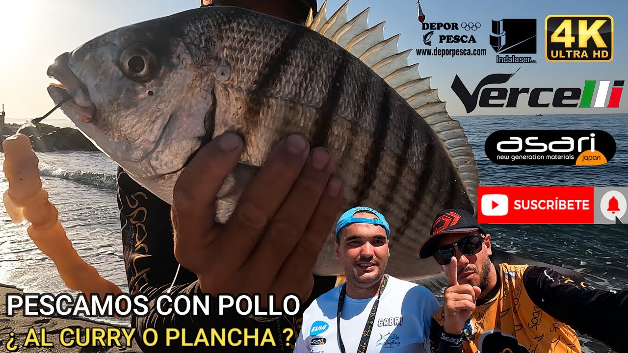 💥 PESCA CON PECHUGA DE POLLO | VOLVEMOS AL MISMO ESCENARIO Y SE VUELVE ...