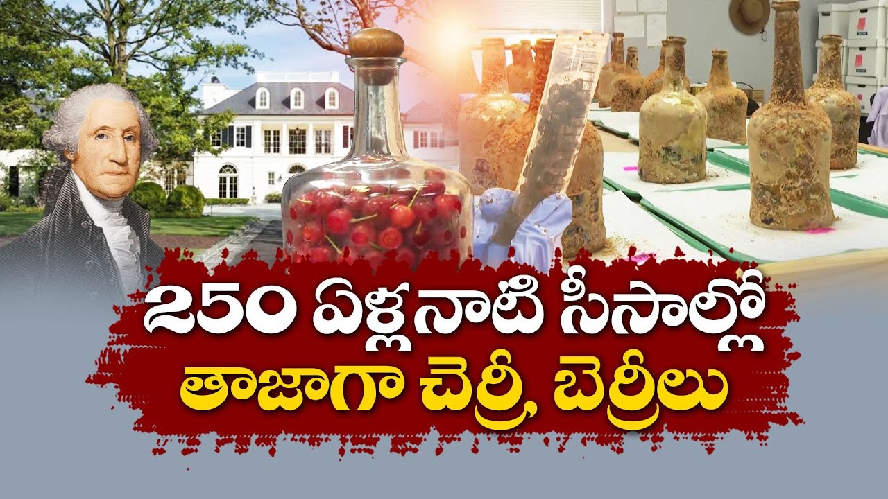 Bottles of 250-Year-Old Cherries Discovered Beneath George Washington’s ...