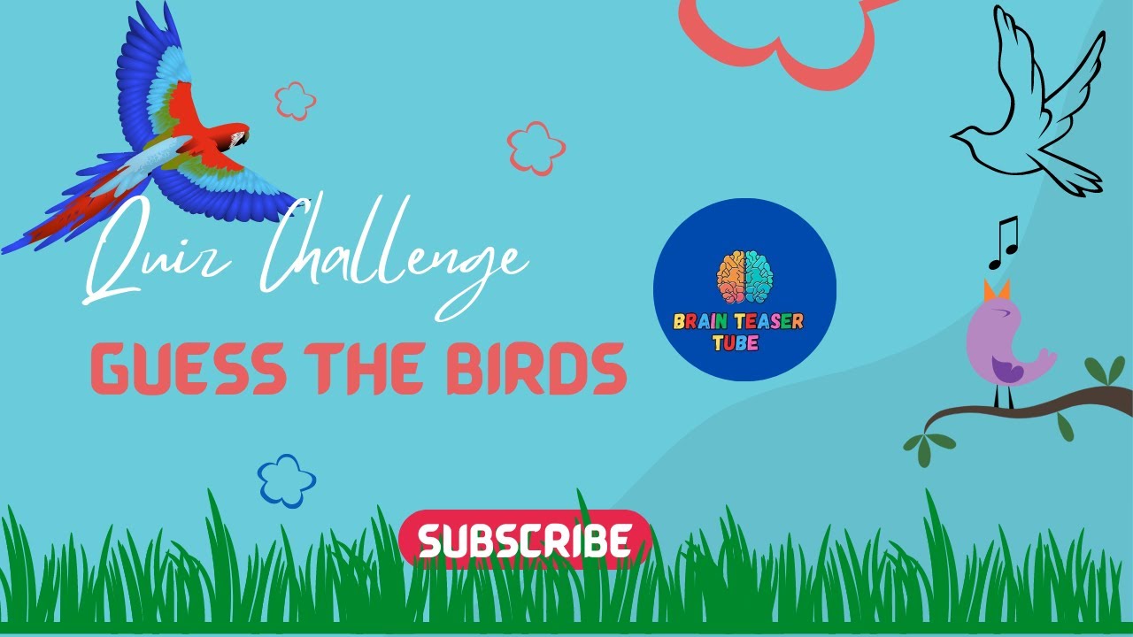 How good are you at identifying birds by their appearance? Take this ...