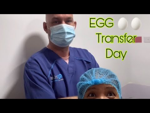Embryo🥚Transfer Day | The Postmas - YouTube
