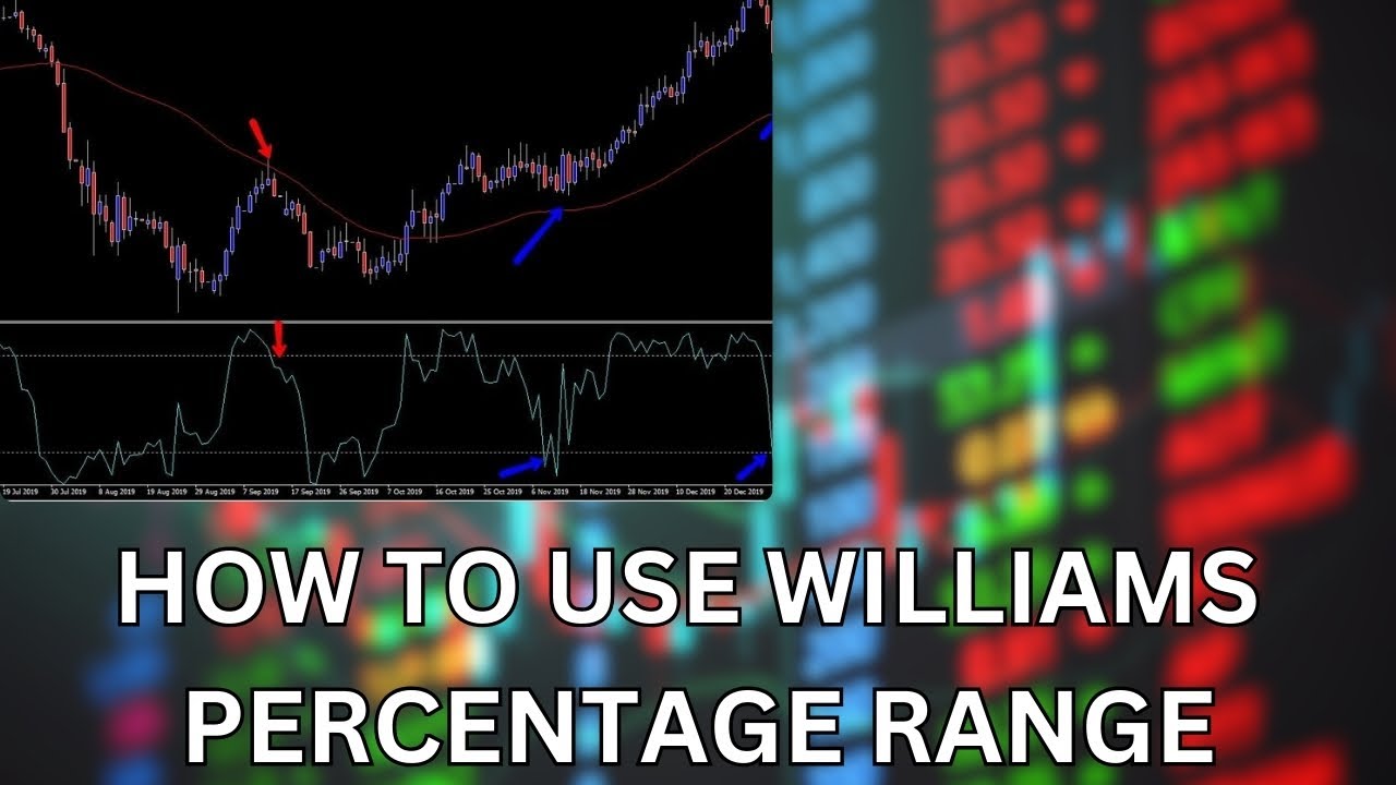 How to Use Williams Percentage Range Indicator in Trading - YouTube