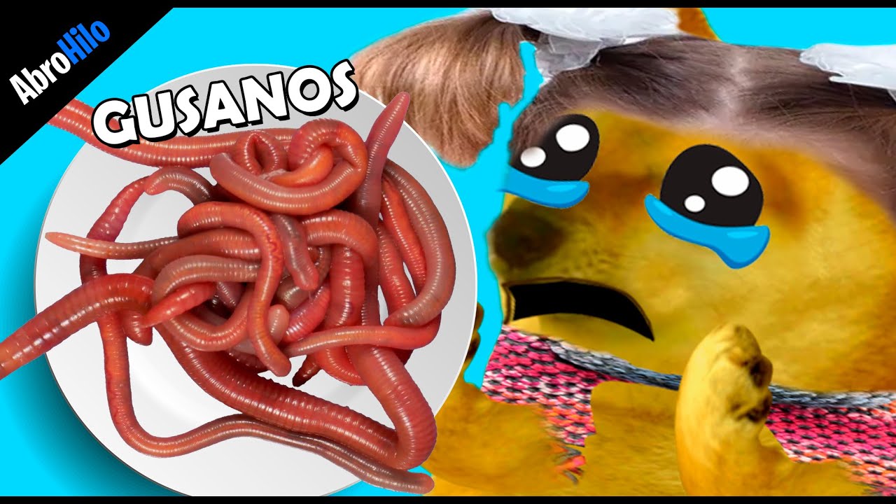 Gusanos para desayunar 😋 - YouTube