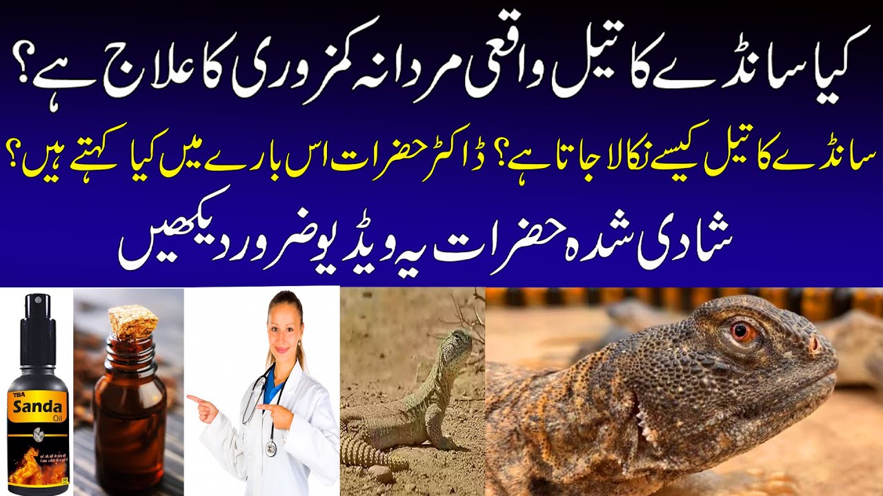 Sanda Oil Vs Doctors |How To Make Sanda Oil |Sanda Oil Uses ...