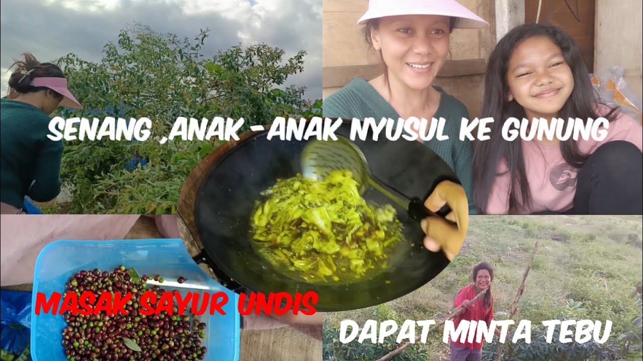 Vlog IRT desa stok makanan di gunung habis masak sayur undis seadanya ...