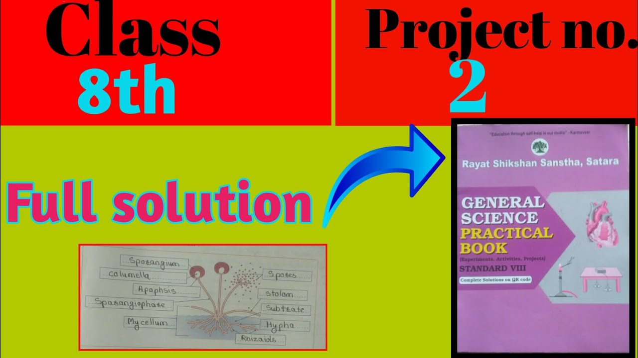Class 8 Science Project No 2 Full Solution YouTube class-8-science-project-no-2-full-solution-youtube