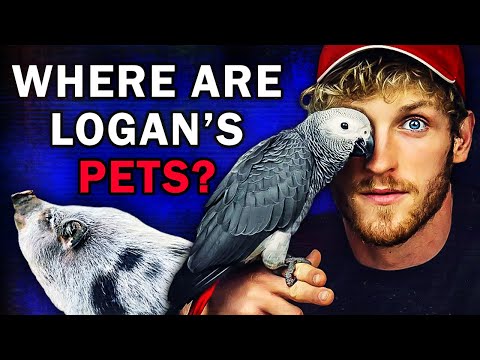 The Truth About Logan Paul and His Pets