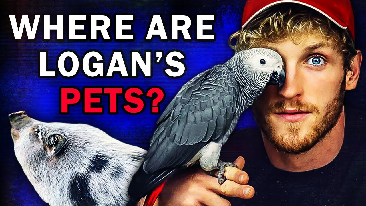 The Truth About Logan Paul and His Pets - YouTube