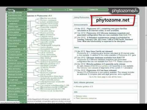 Phytozome and the peach genome - YouTube