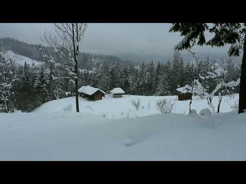 Qışda yuxu, yuxusuzluq, rahatlama, meditasiya üçün quşların təbii oxuması, stressi azaldır.