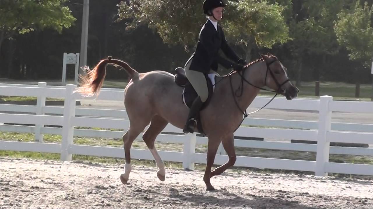 Kayla Rossetti - Peppermint Twist - YouTube