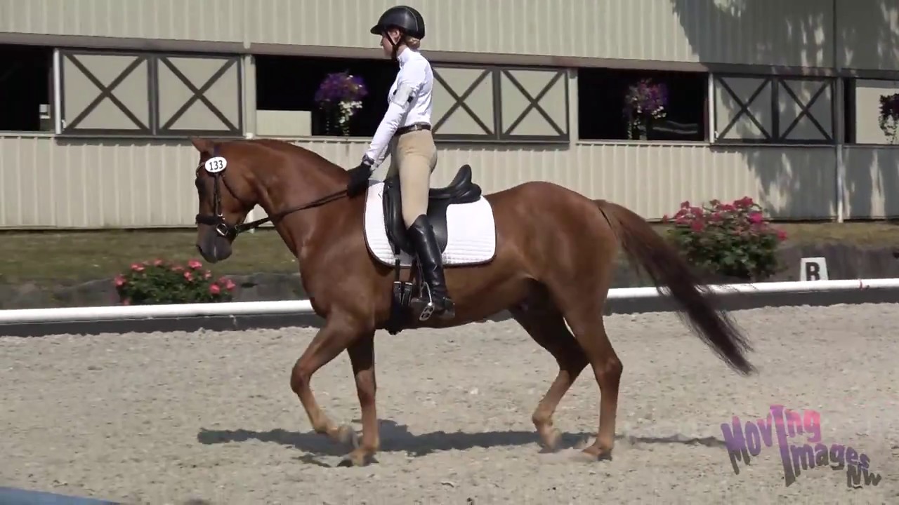 D #133 Katherine Combs T1 - YouTube