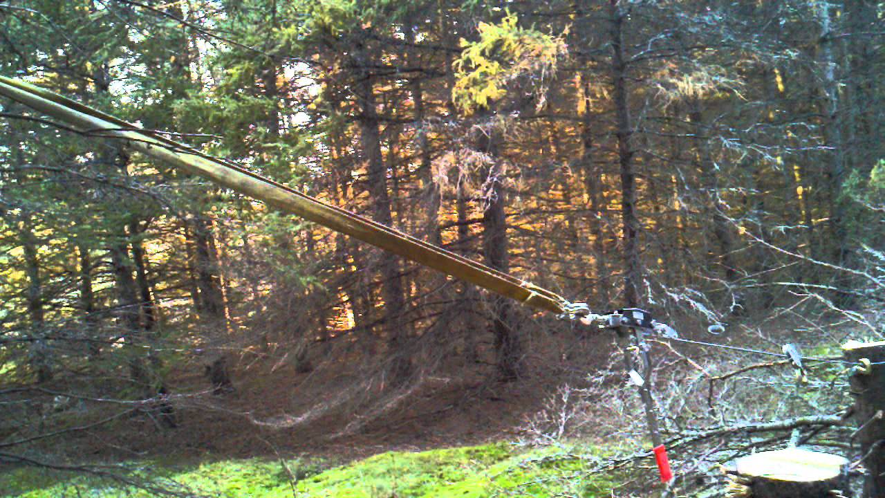 Clearing food plot - YouTube