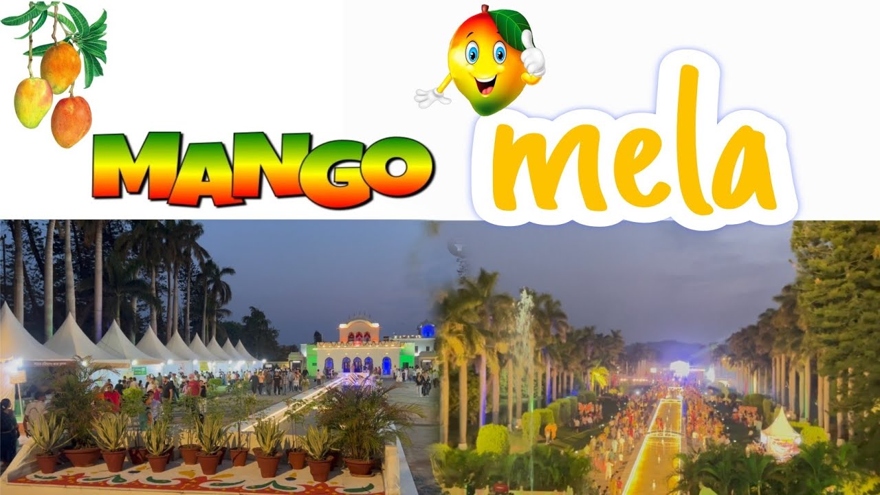 Mango 🥭 mela - YouTube