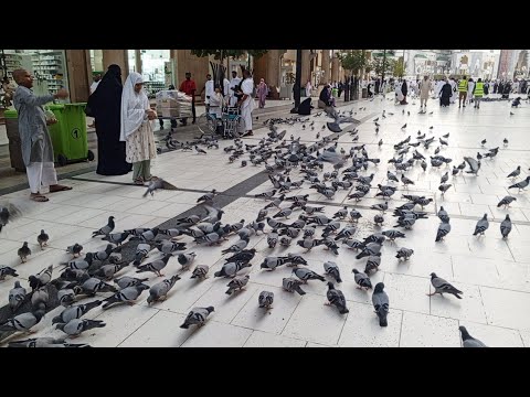 Makkah Haram Sharif | 21July 2024 .10صToday AB mashallah Haji mashallah ...