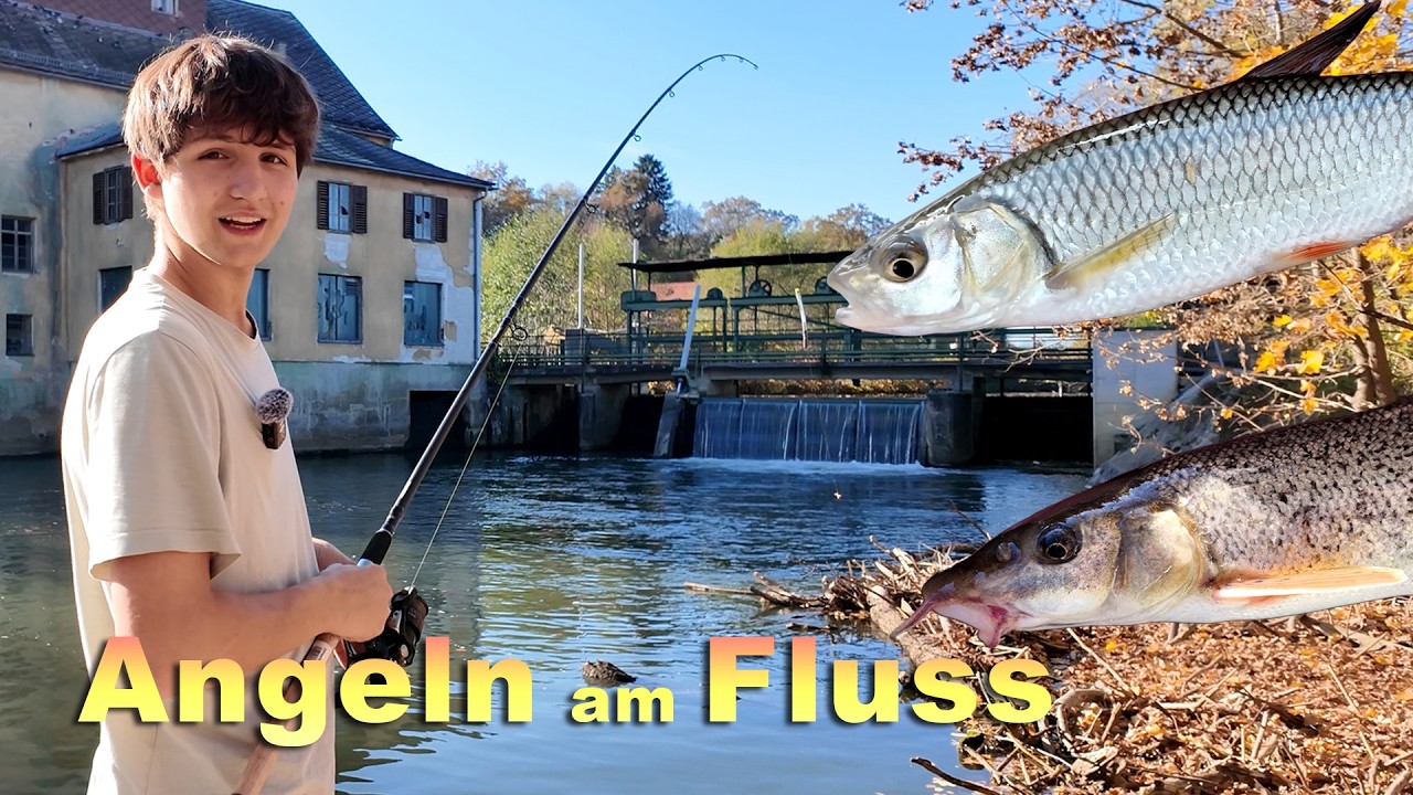 Angeln am Fluss im Herbst - Fischen mit verschiedenen Ködern und ...