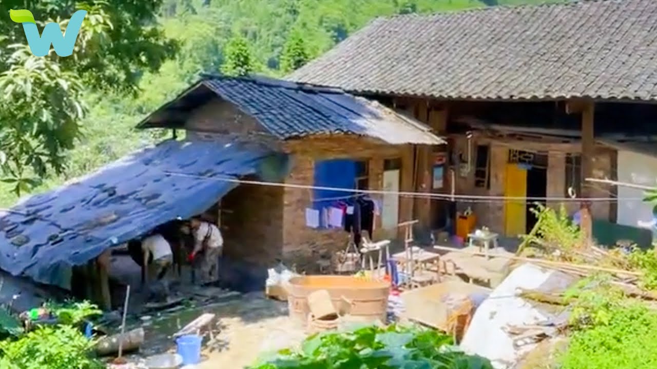The two brothers came back their hometown and renovated the old house ...